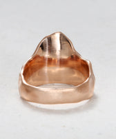 Our Cosmic Garland Ring